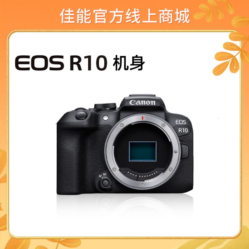 EOS R10 机身 - EOS单反/微单相机 - 佳能官方线上商城